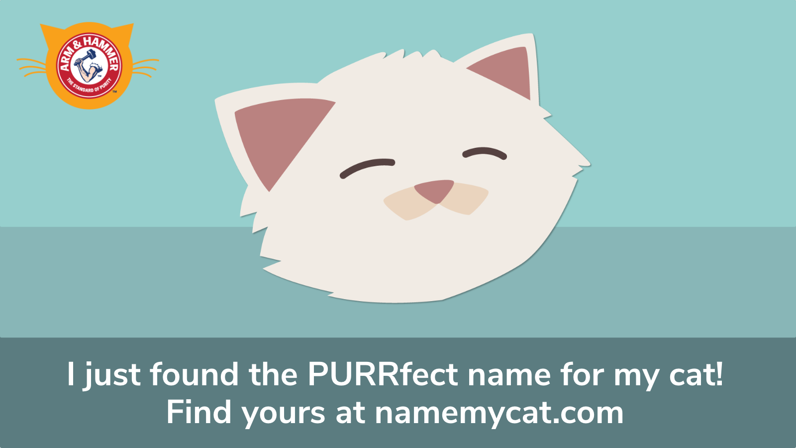Unique & Cute Cat Name Generator | ARM & HAMMER™