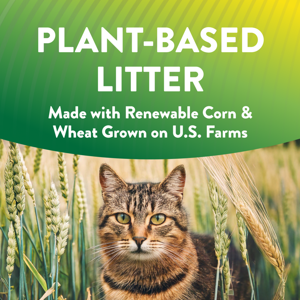 Plant Power Plant-Based Lightweight Clumping Cat Litter | ARM & HAMMER™