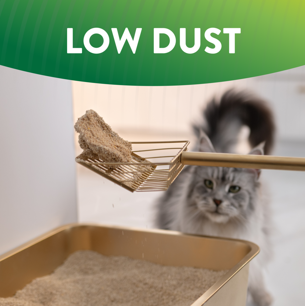 Plant Power Plant-Based Lightweight Clumping Cat Litter | ARM & HAMMER™